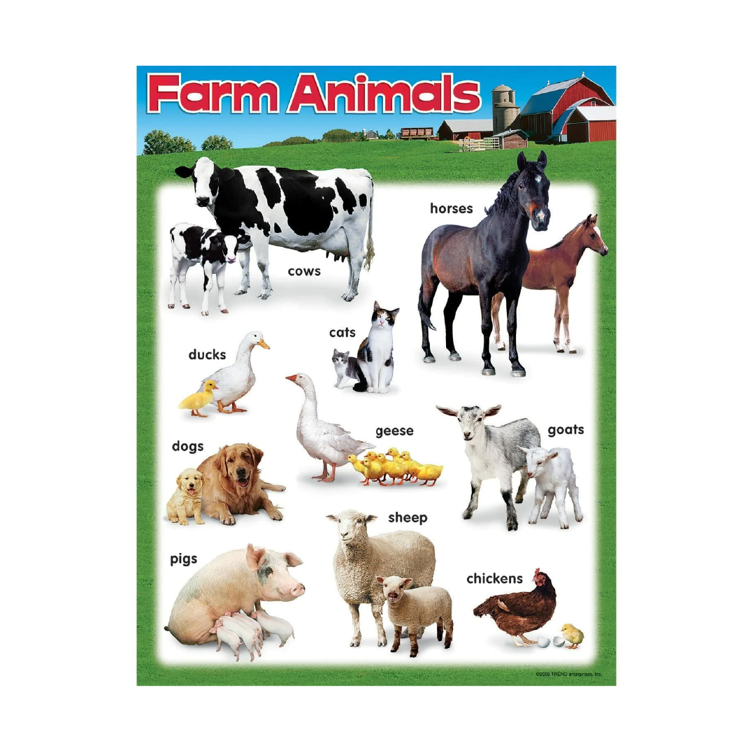 Poster Farm Animals – Humacao School Supply