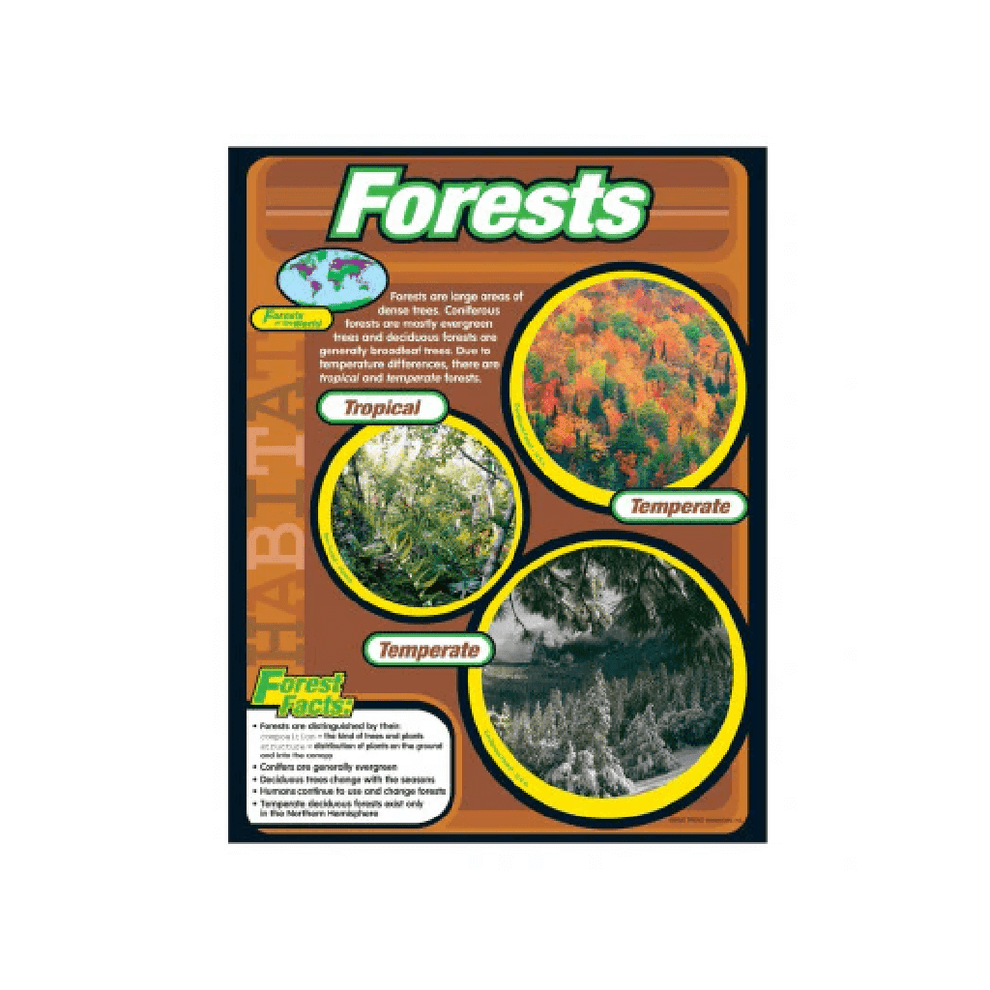 Poster Learning Forests – Humacao School Supply