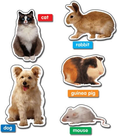 BBS Mini Pets [pk-30] – Humacao School Supply