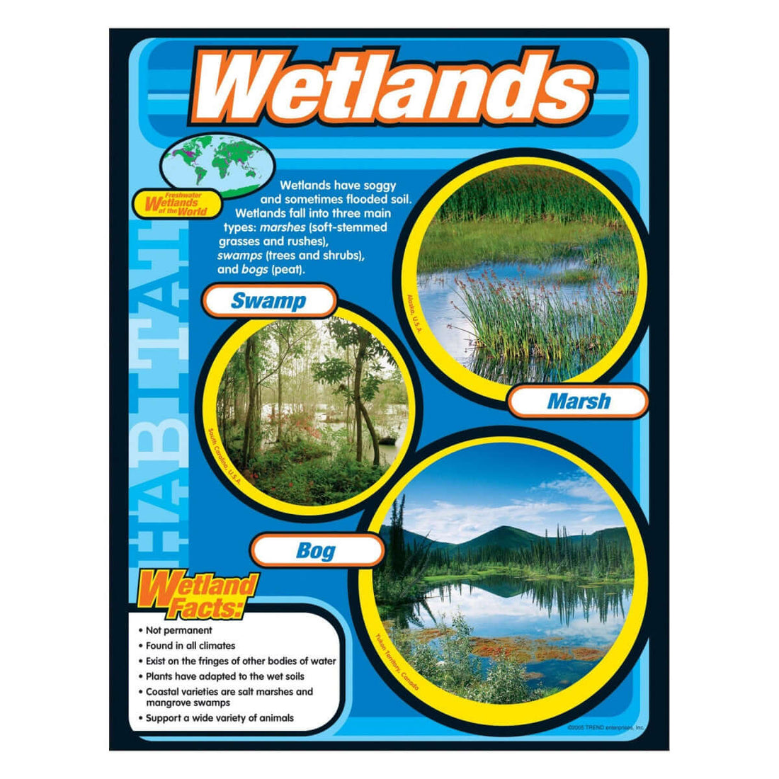 Poster Learning Wetlands – Humacao School Supply