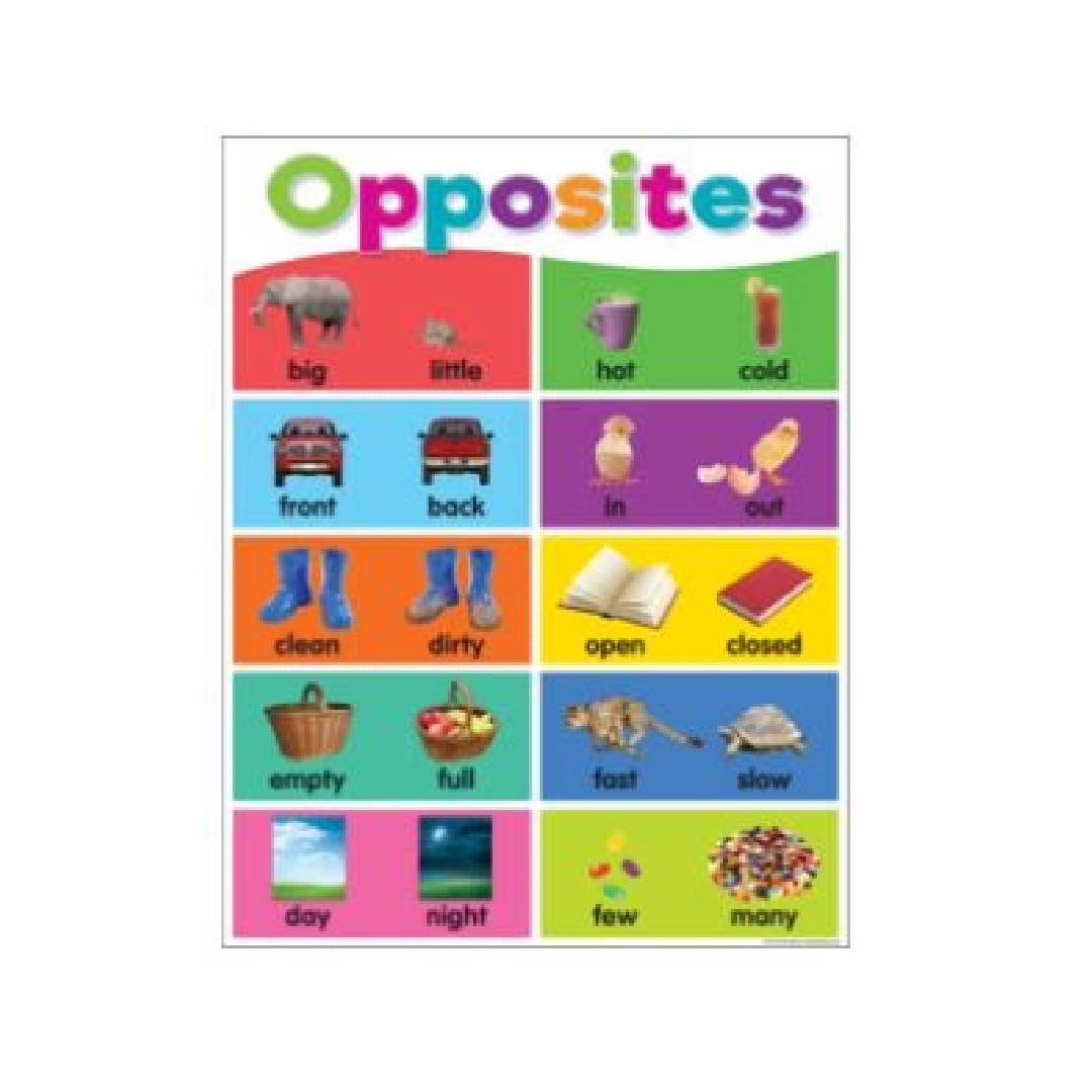 Poster Opposites – Humacao School Supply